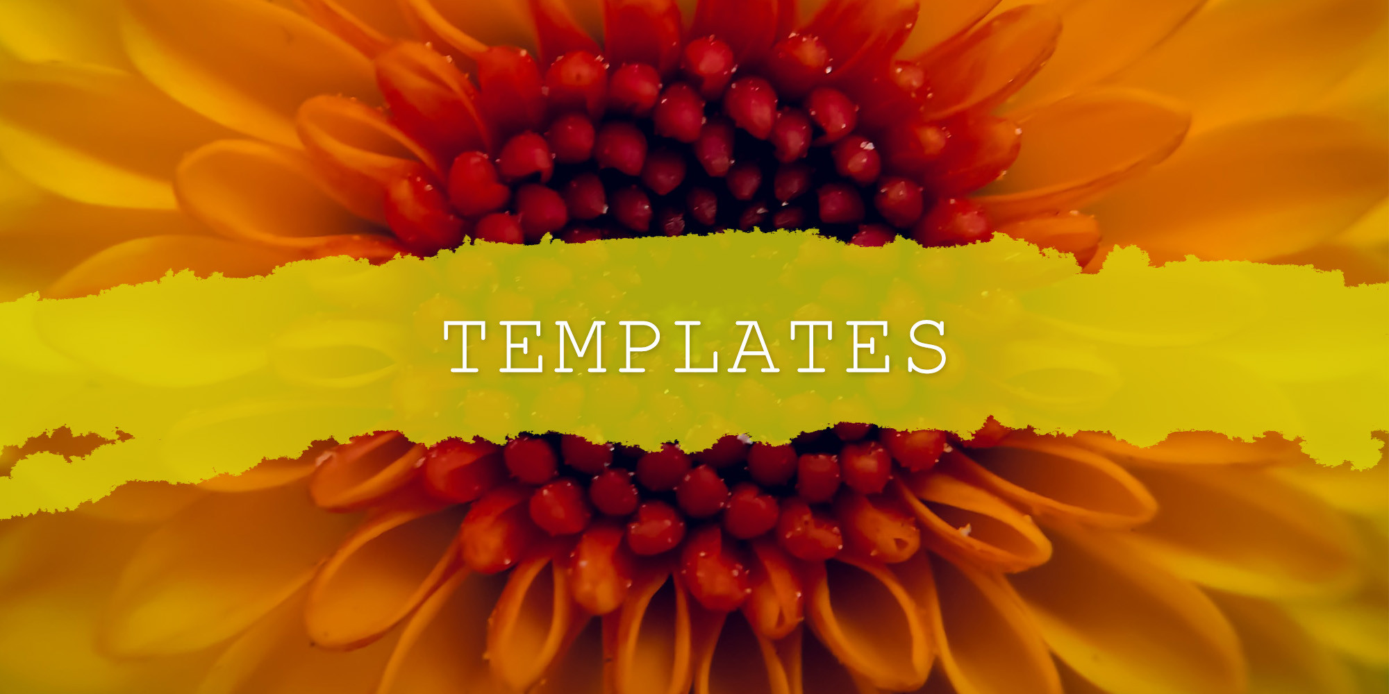 Using pre-made templates | MergeOS